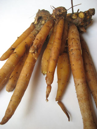 Spicy gem diary ～タイの食を愛する方々へ～